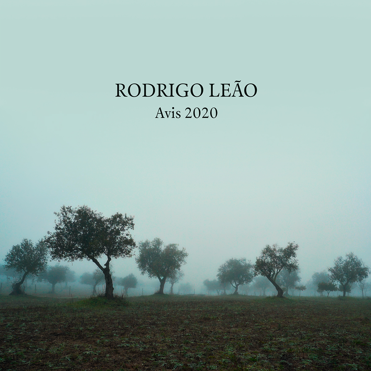 Rodrigo Leão - Official Website